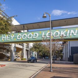 Must See Public Art in Plano | Plano Insider