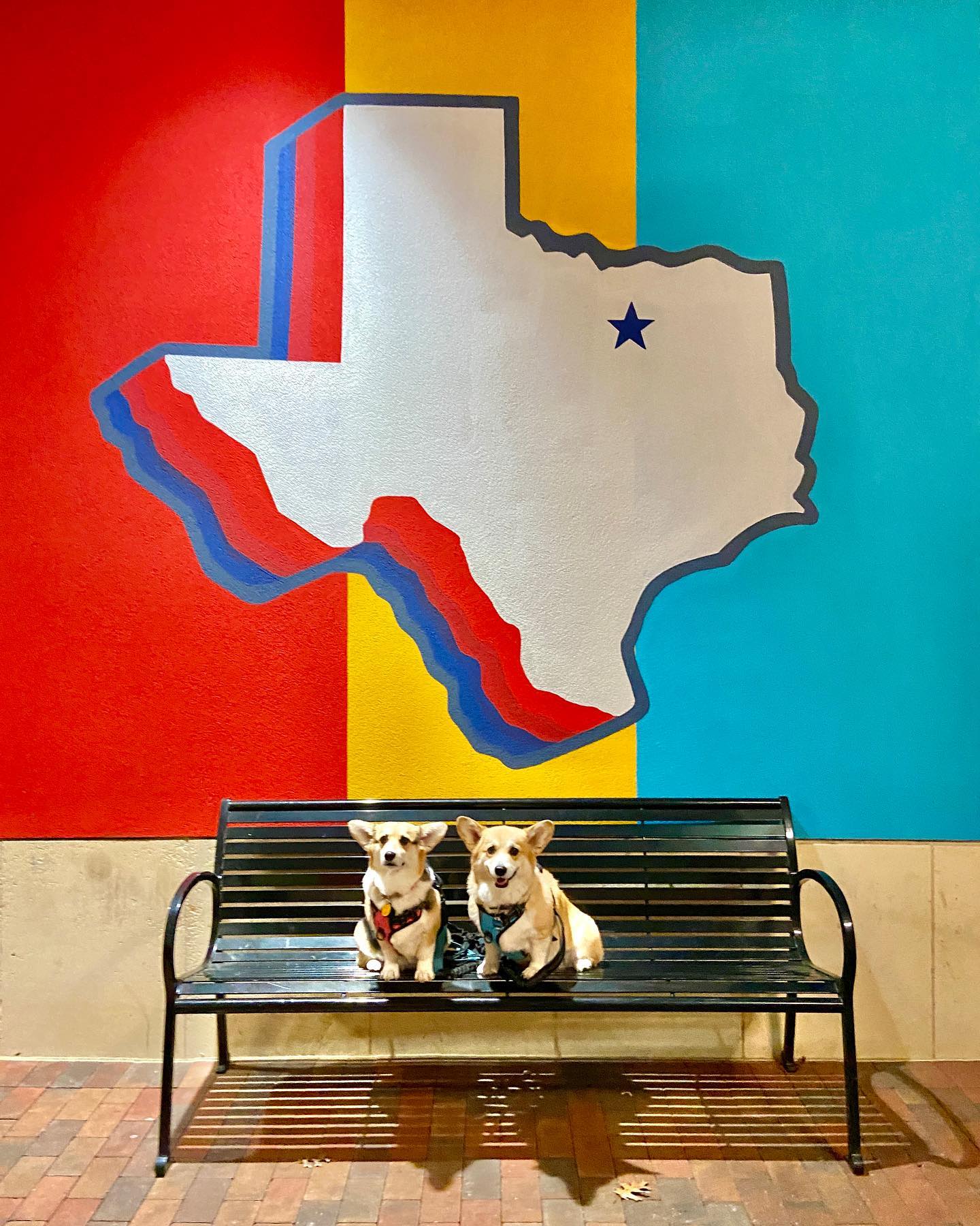 Must See Public Art in Plano | Plano Insider