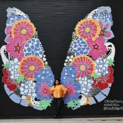 Must See Public Art in Plano | Plano Insider