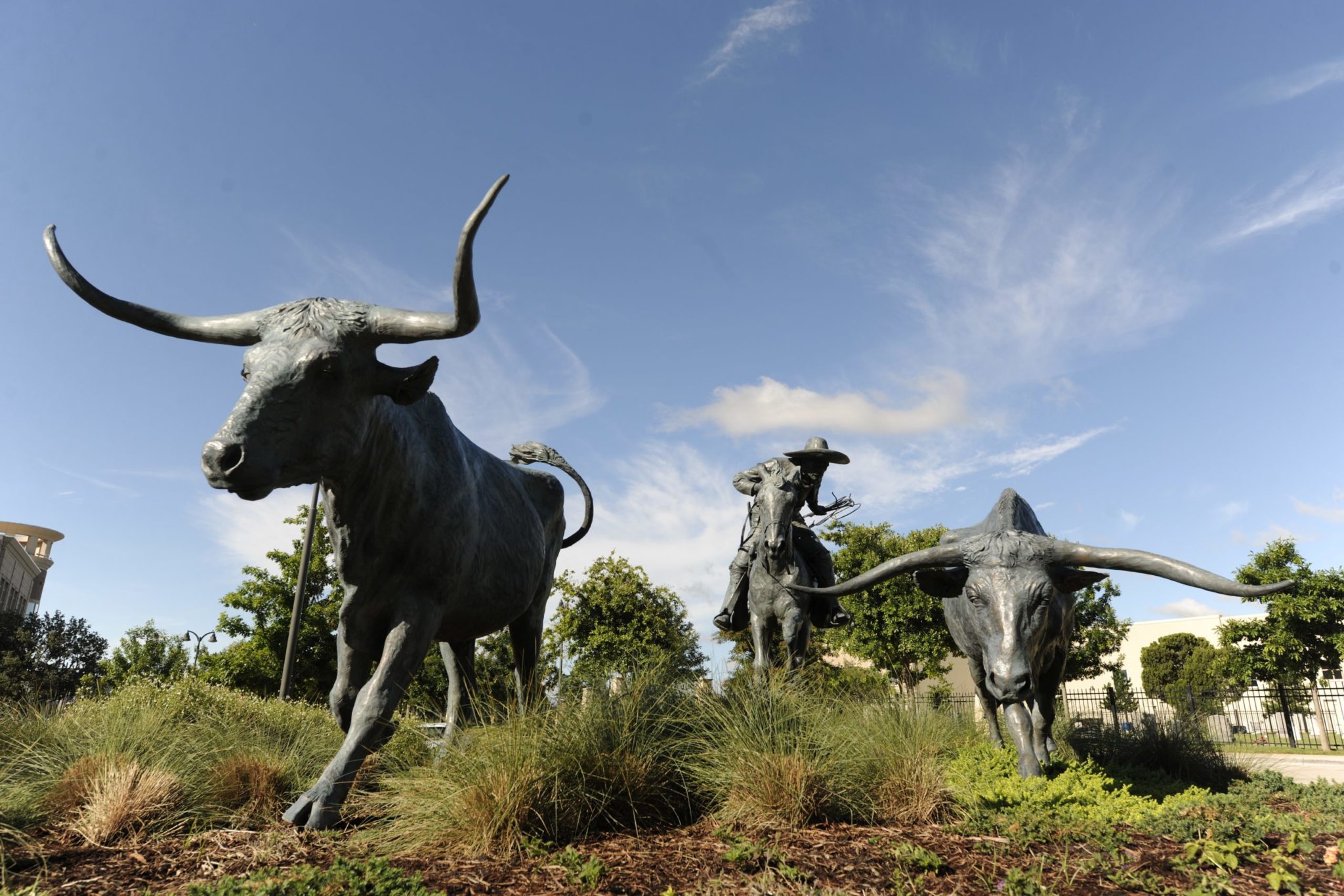 Must See Public Art in Plano | Plano Insider