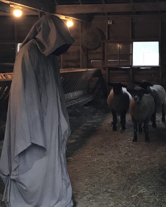 Halloween 2020 Plano Events & At-Home Activities | Plano Insider