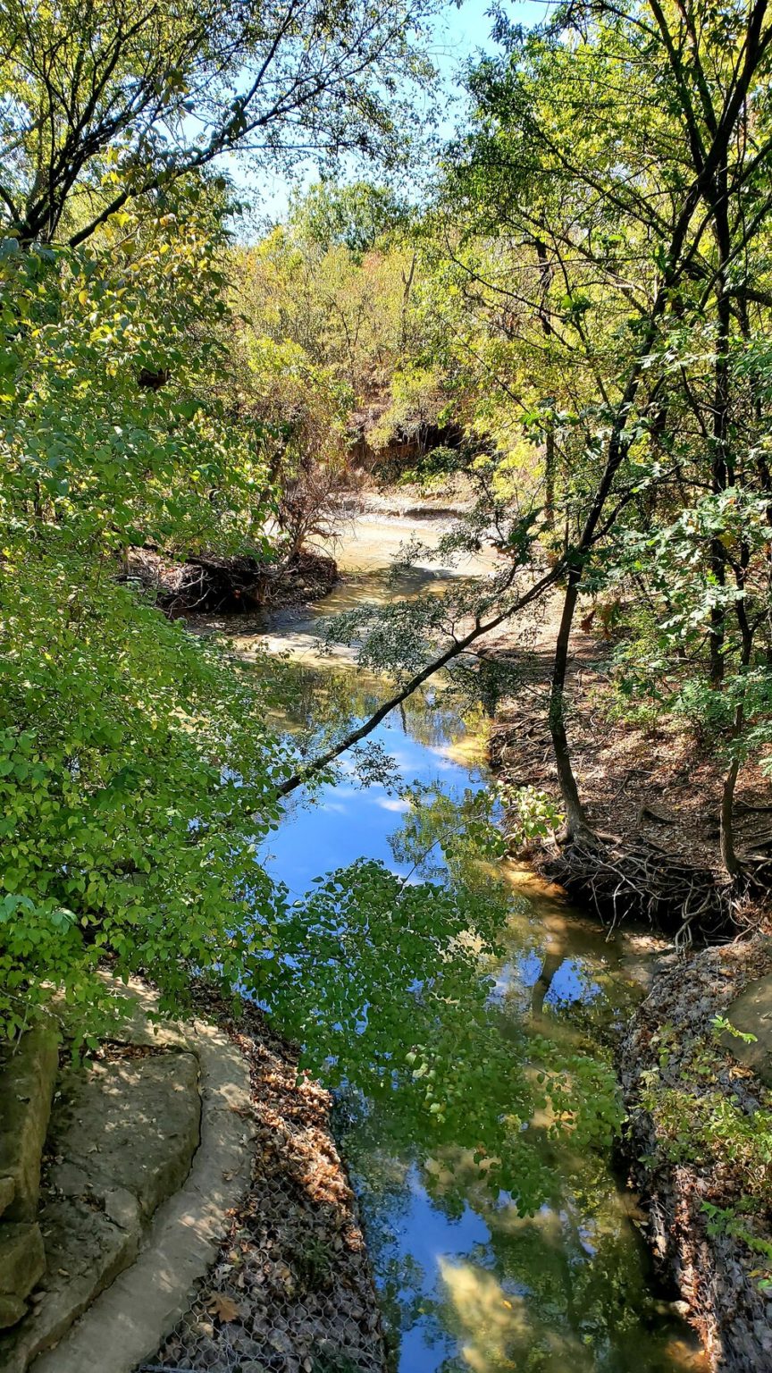 The Perfect Fall Date Day in Plano | Plano Insider