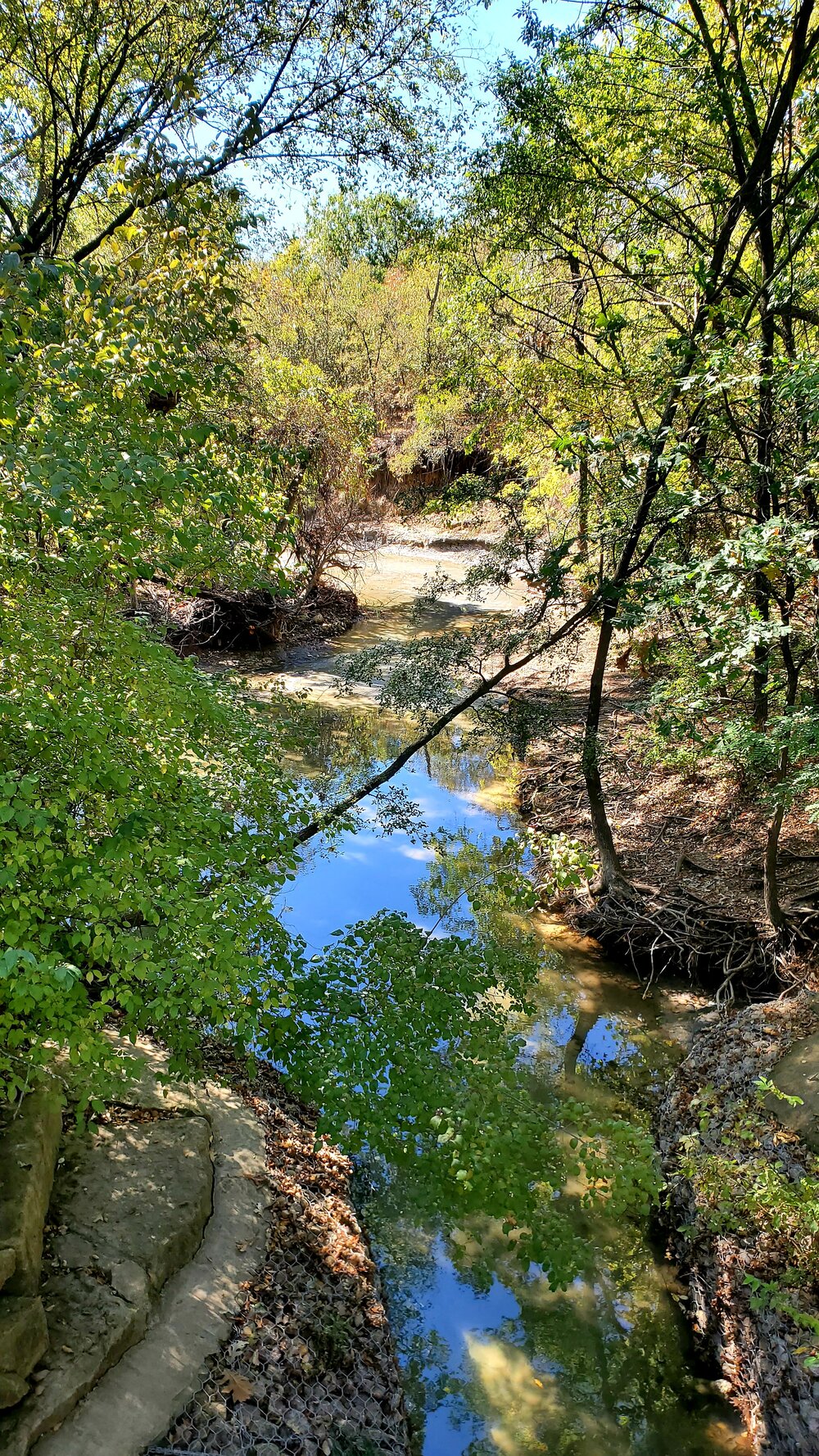 The Perfect Fall Date Day in Plano | Plano Insider