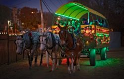 Safe Plano Holiday Events 2020 | Plano Insider