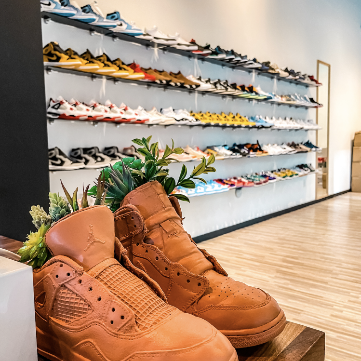 Plano, Texas a Hidden Gem | Plano Insider